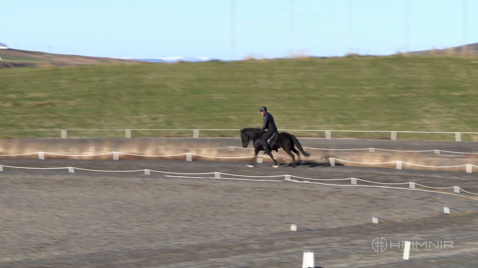 Pace training- Pace transitions on the oval track - Hrimnir Community Video