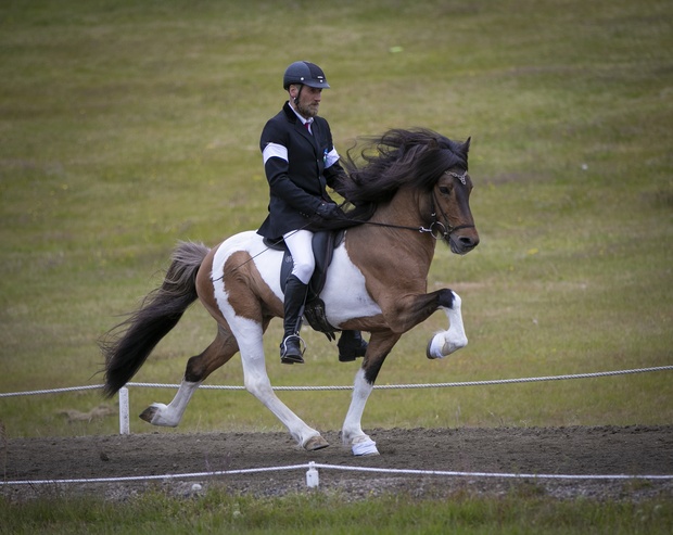 Arena exercises and riding figures. Riding lesson - Hrimnir Community