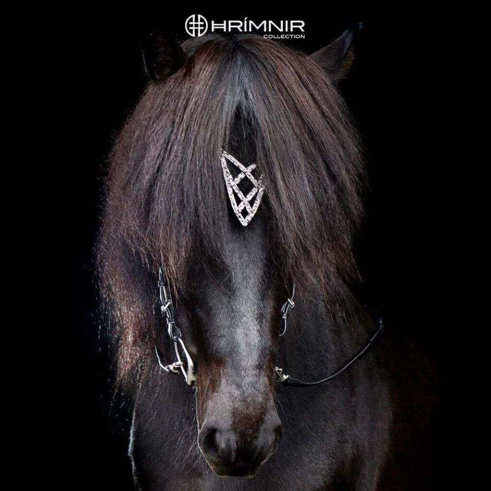 Heritage Shield Headstall – Elegant Cob-Size Bridle with Viking ...