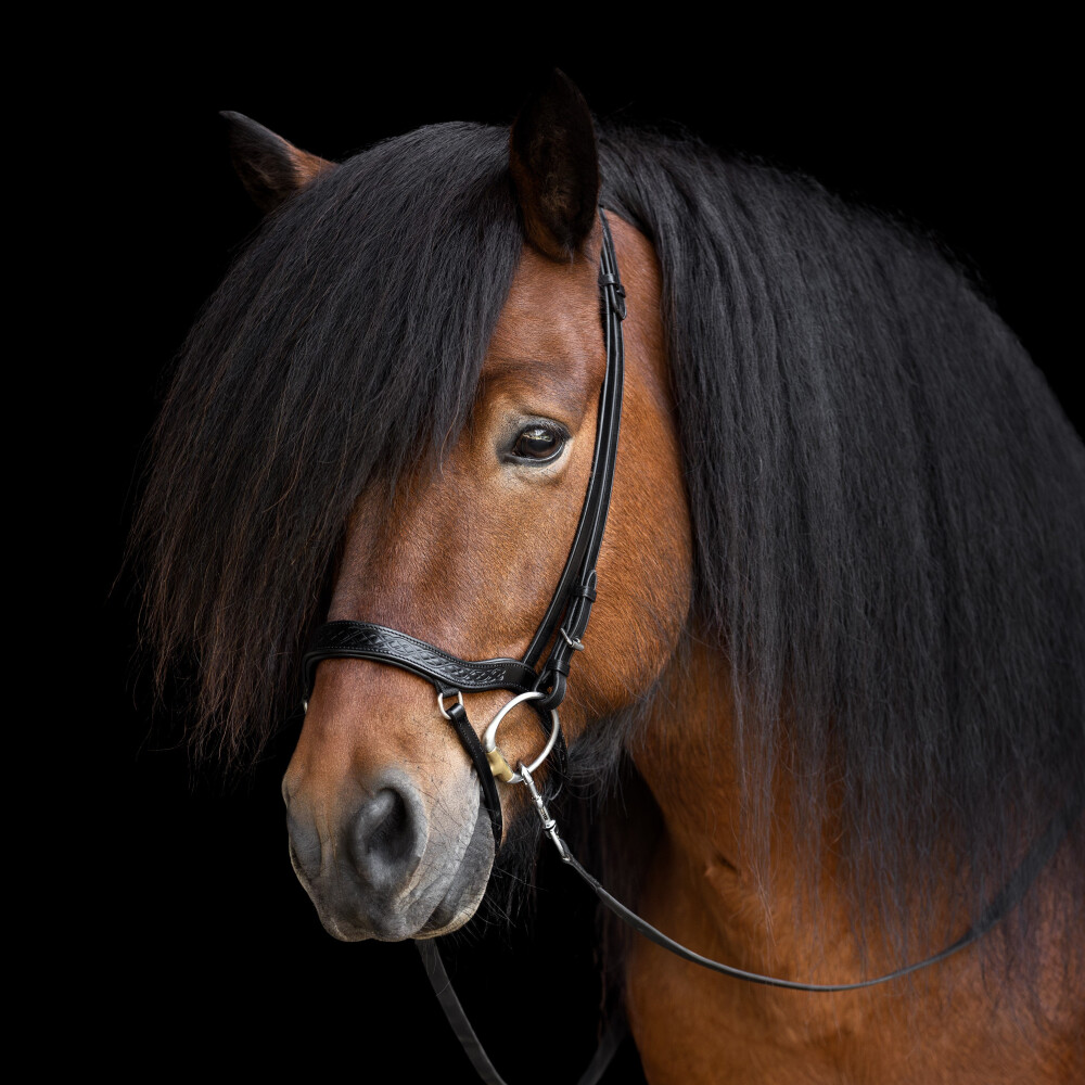 Anatomical Noseband with heritage pattern for Icelandic horses
