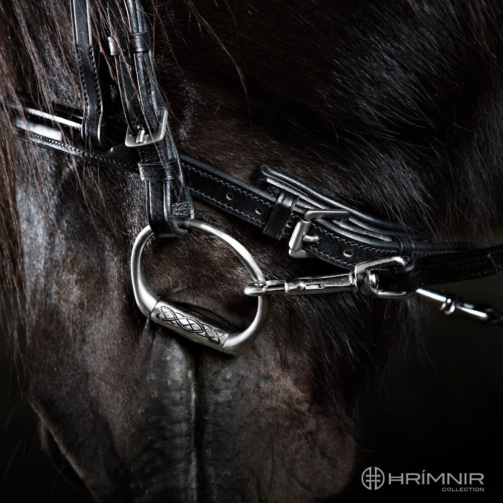Cavesson Classic | Bridles and attachments - Hrimnir