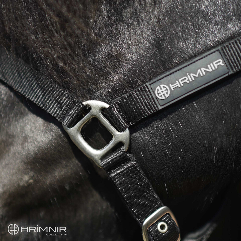 Padded halter set with a lead rope