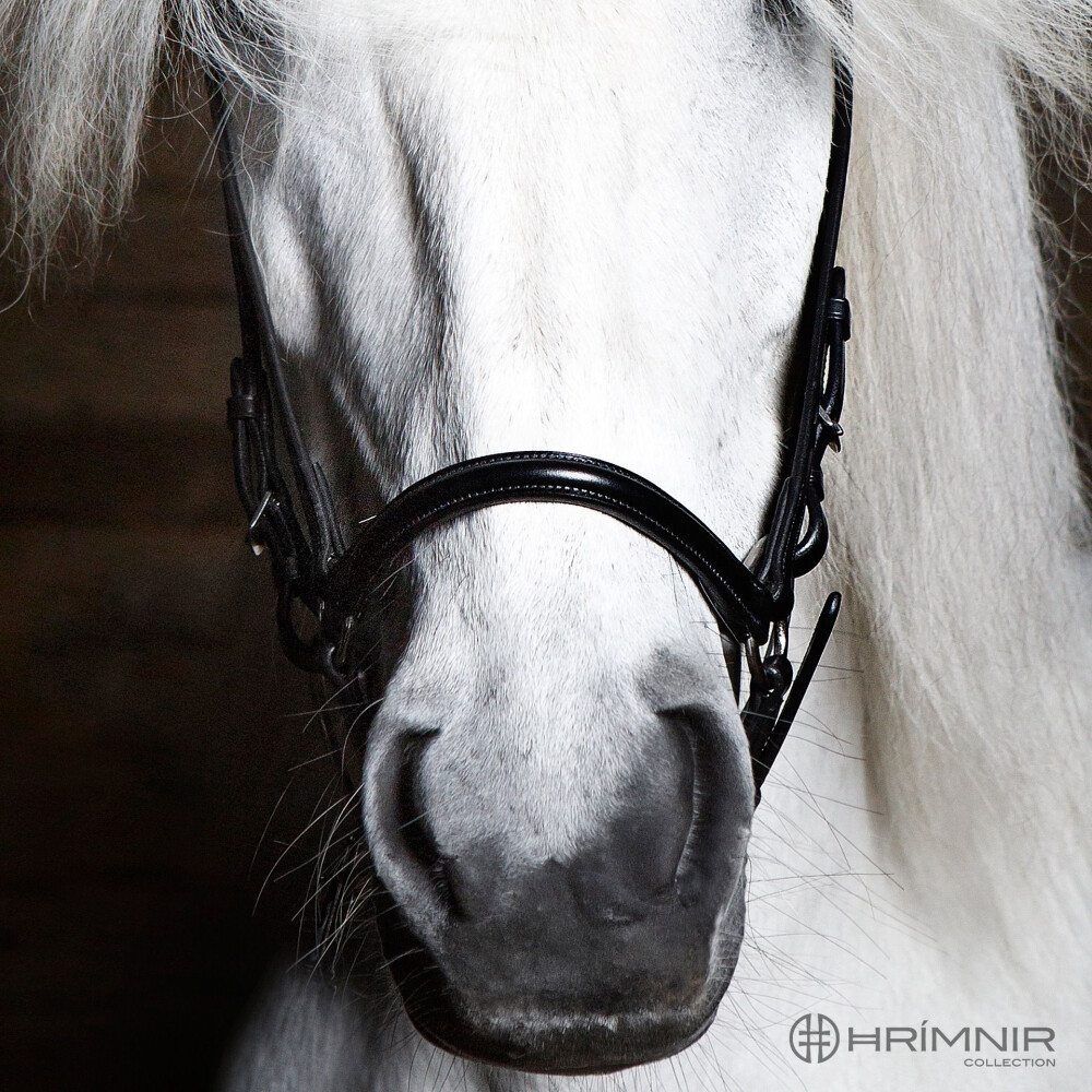 Classical Drop Noseband in High Quality Leather