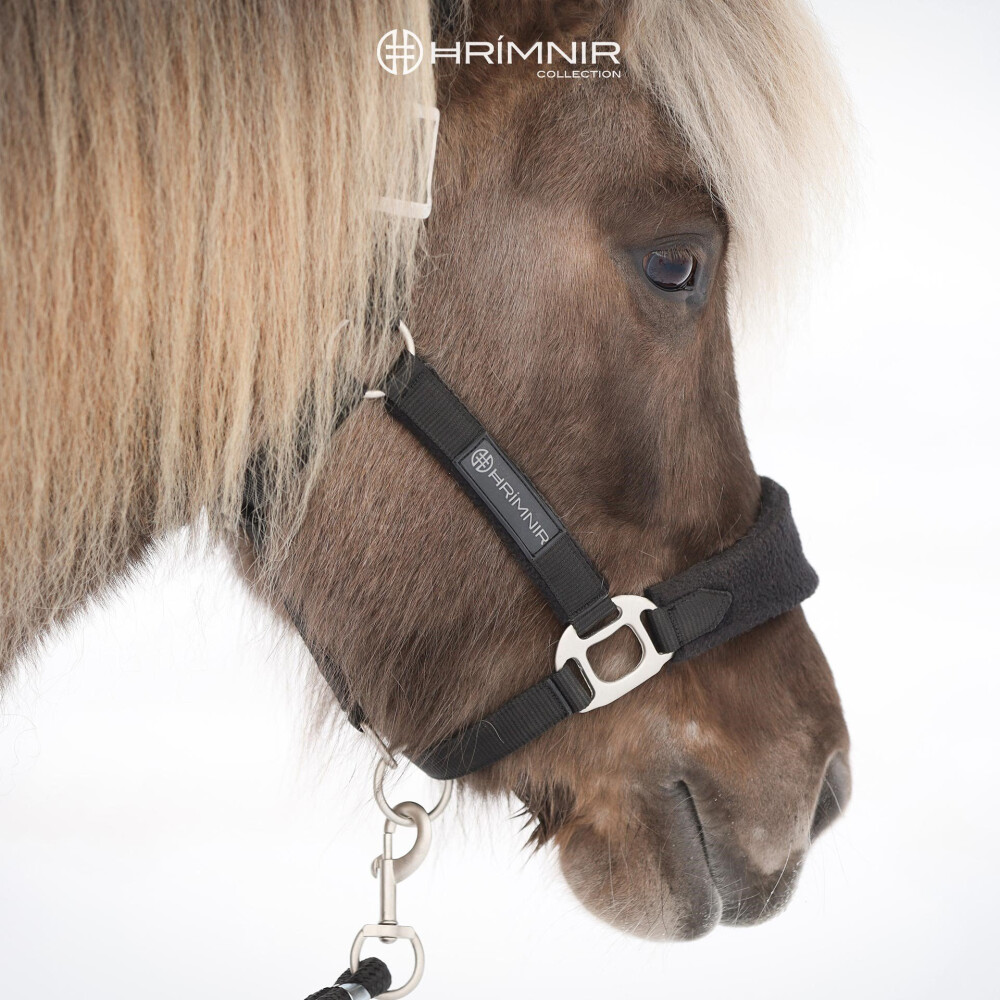 Premium Halter Set with Lead Rope – Soft Padding & Adjustable Fit