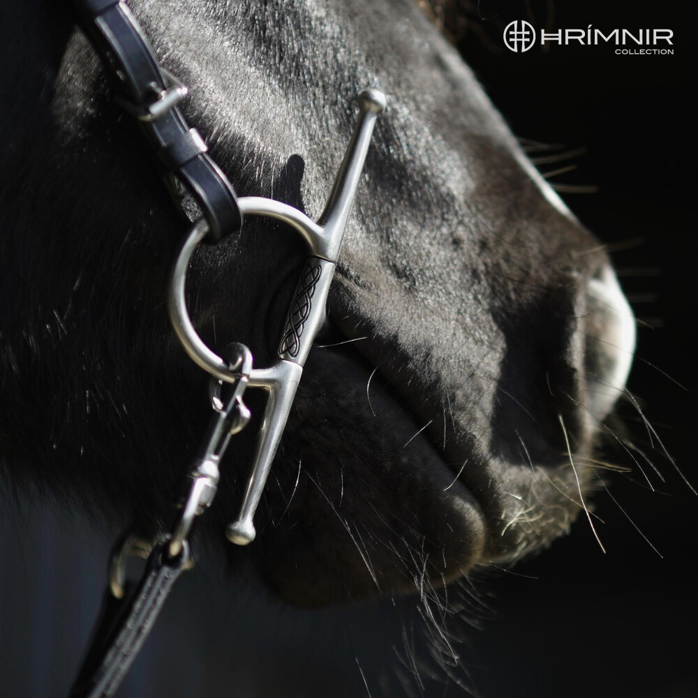 Hrímnir training full cheek bit