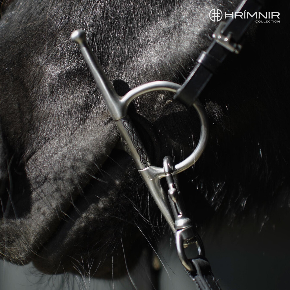 Hrímnir training full cheek bit