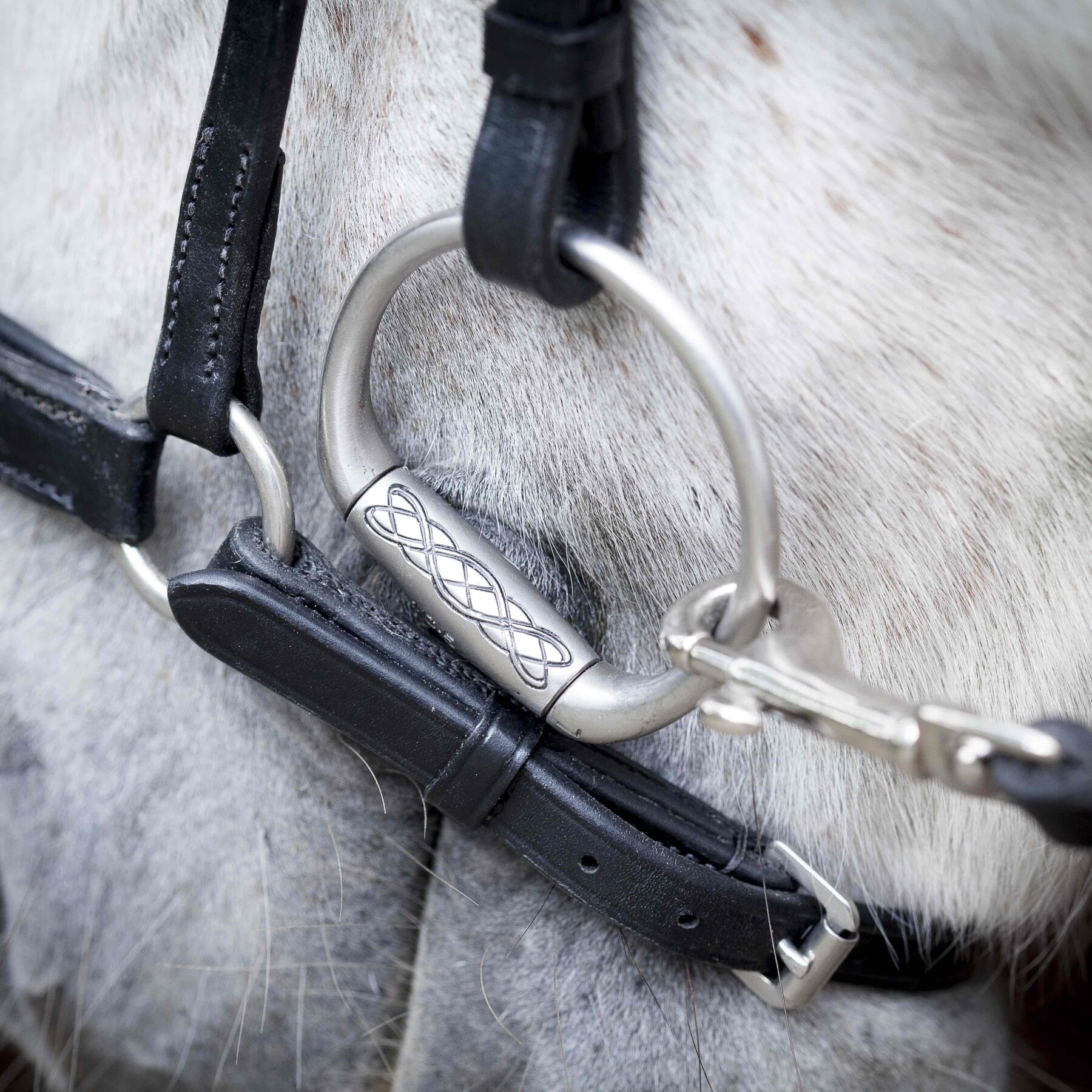 Classical Drop Noseband in High Quality Leather