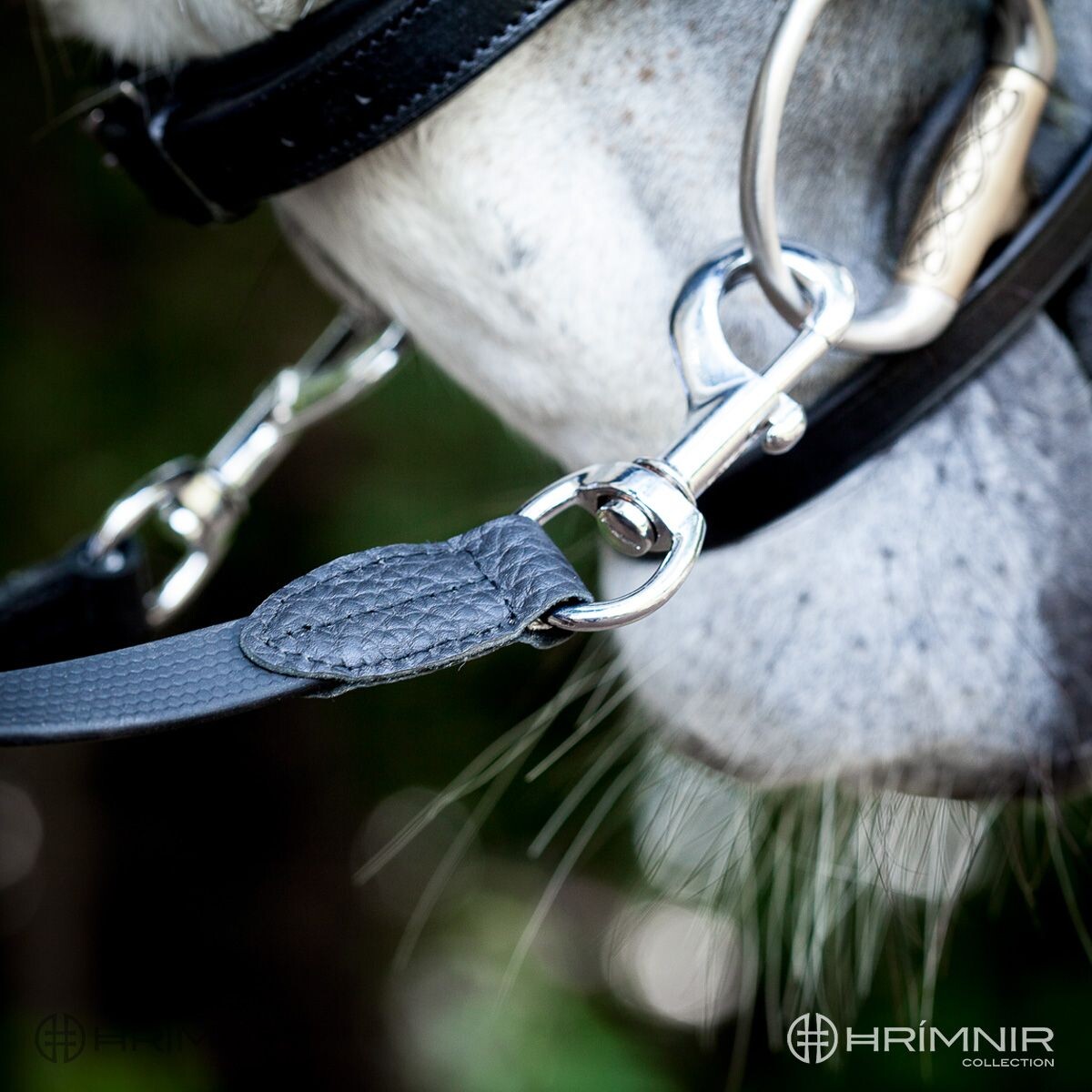 Rubber reins