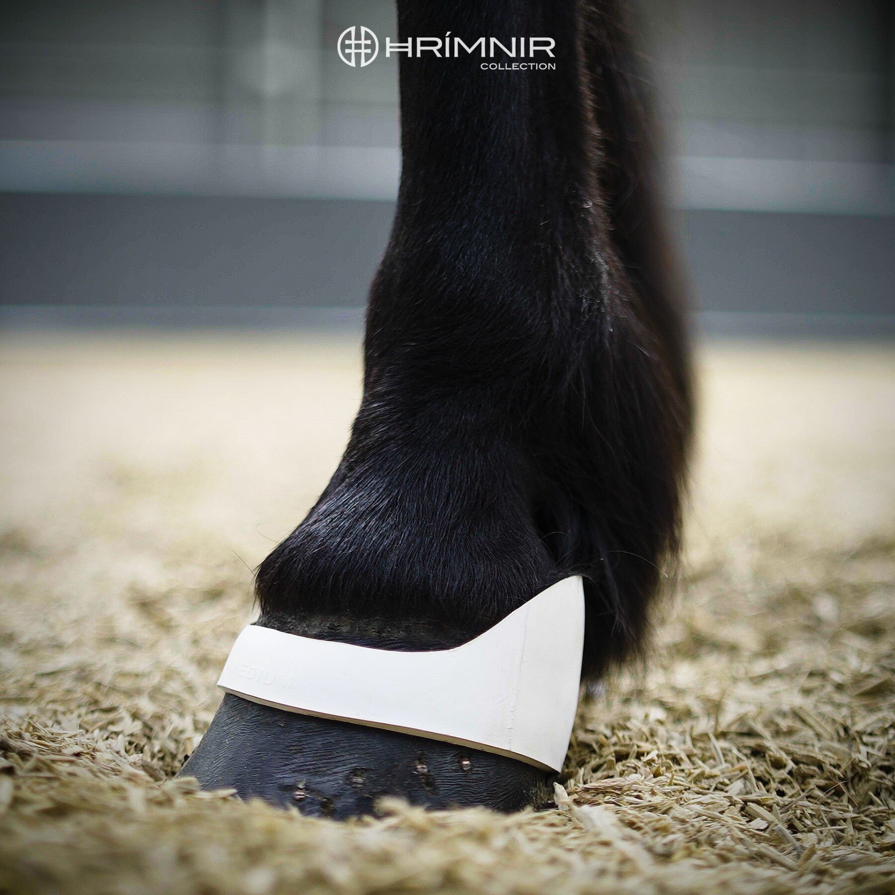 Q boots for Icelandic horses