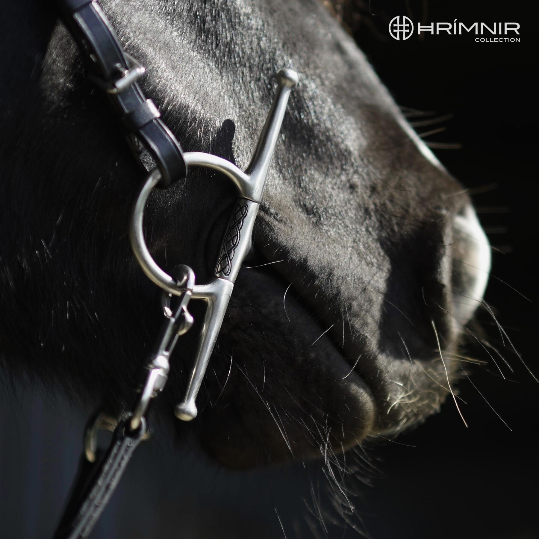 Hrímnir training full cheek bit