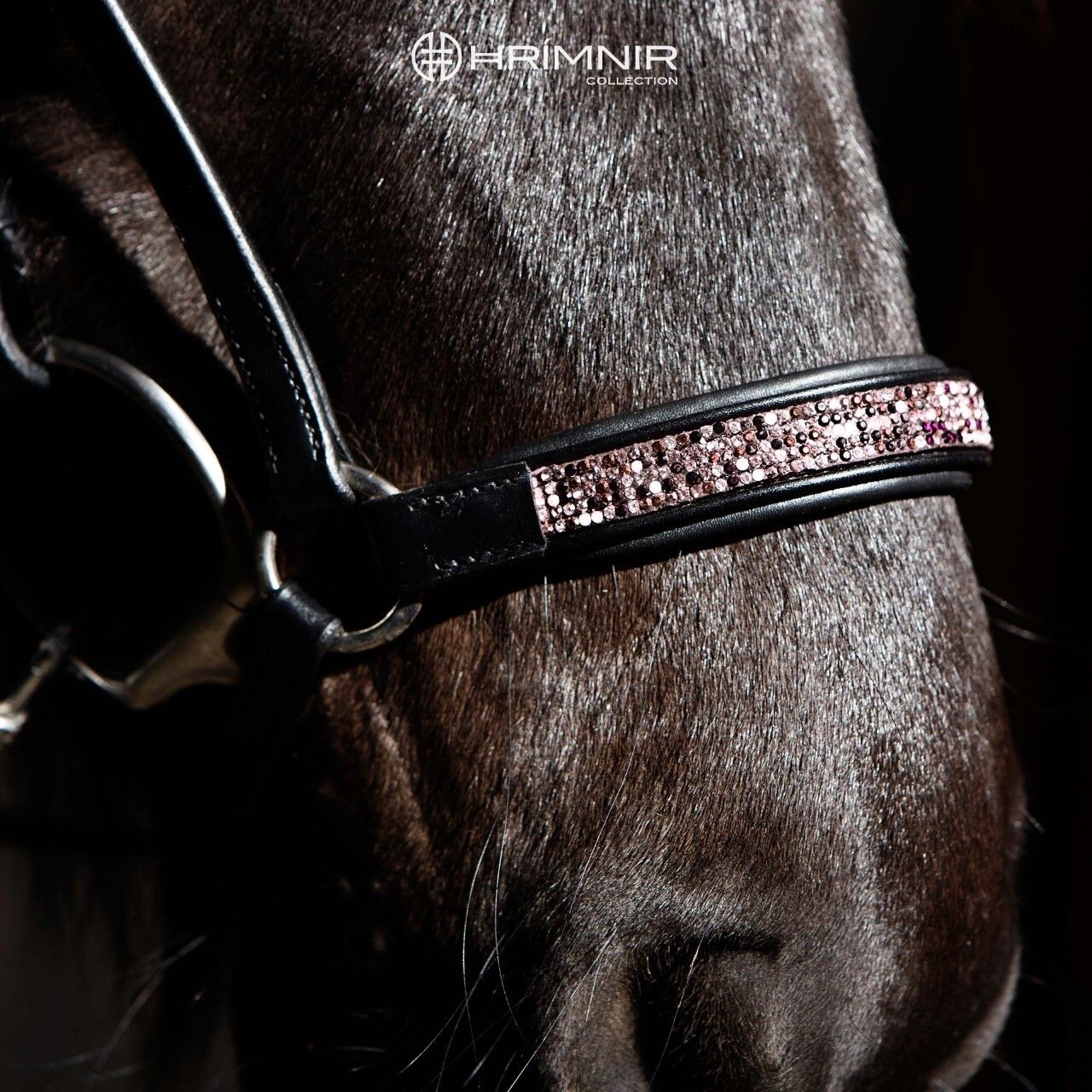 Drop Noseband Sunset Rosa – Elegant Fit & Rhinestone Detail | Hrímnir