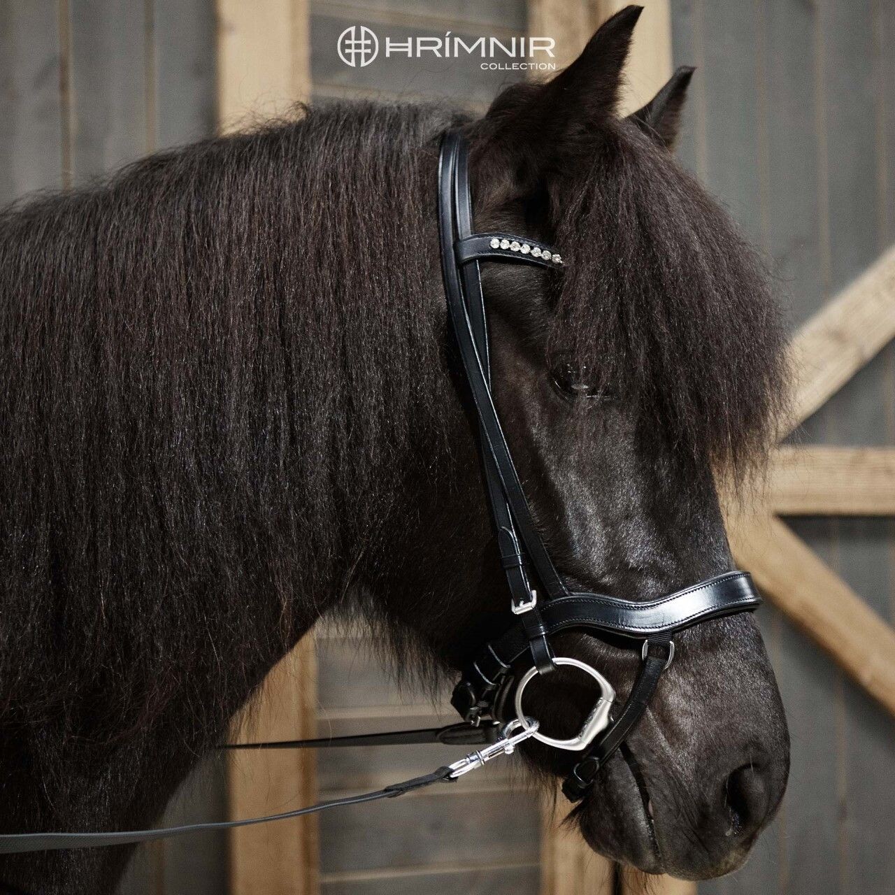 Anatomical Noseband | Nosebands - Hrimnir