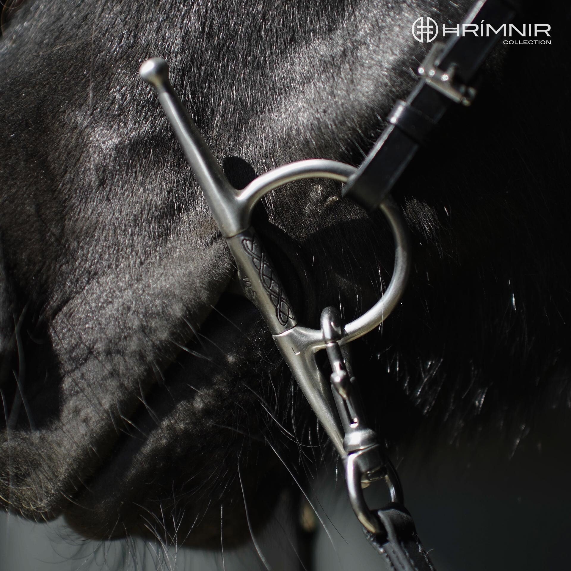 Hrímnir training full cheek bit