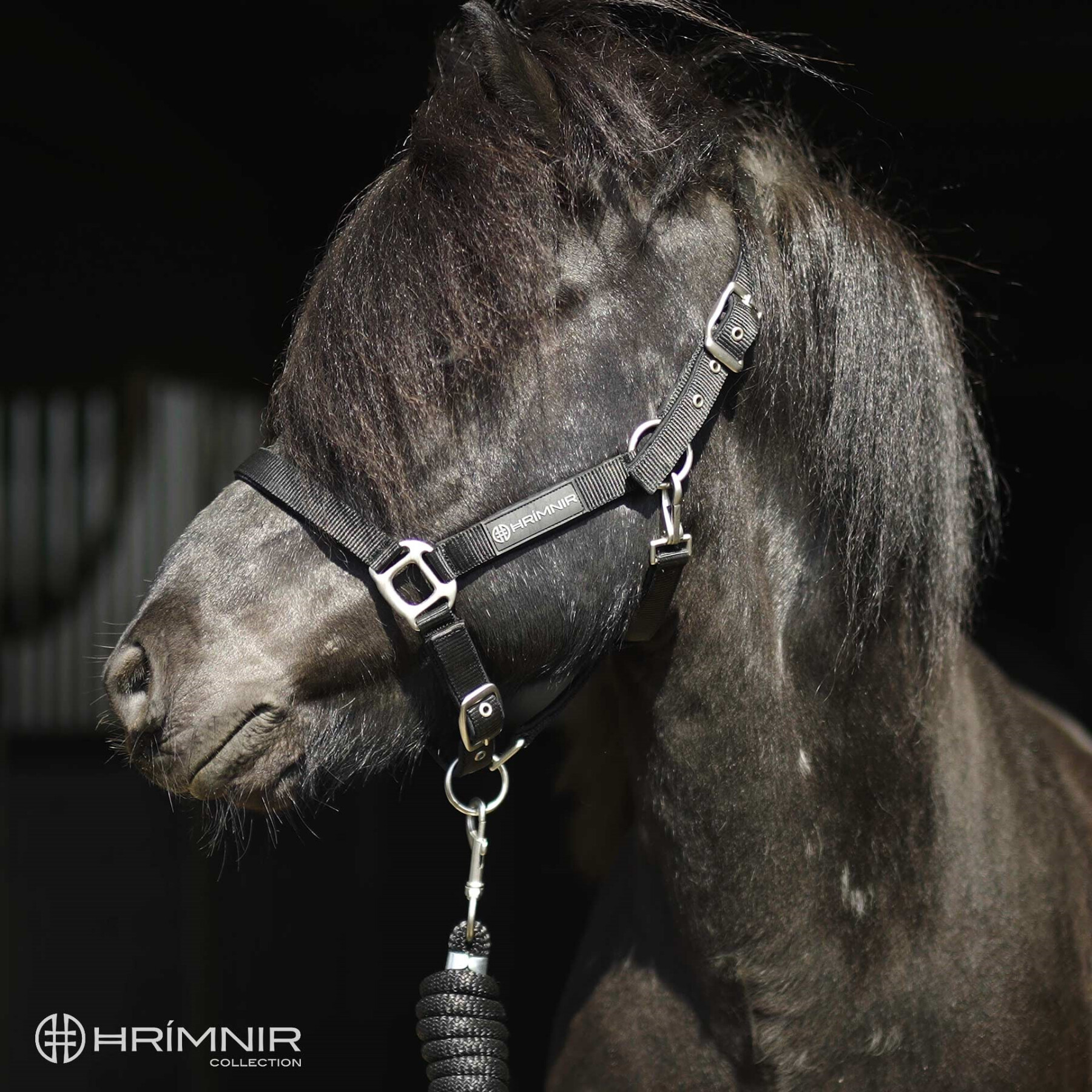 Gepolstertes Halfter Set mit Strick